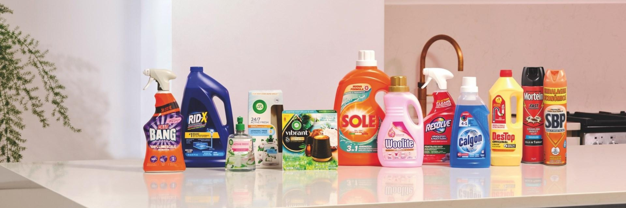 Advent acquires majority stake in Reckitt’s Essential Home portfolio ...